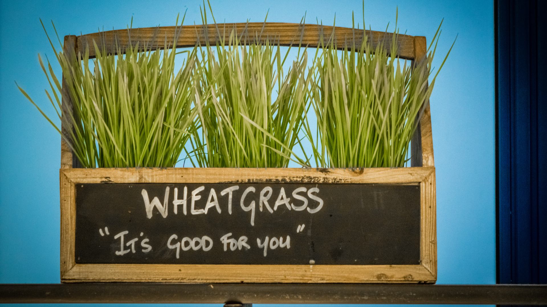 Is Wheatgrass Good for Skin? We Look Explore the Studies! – Health is ...
